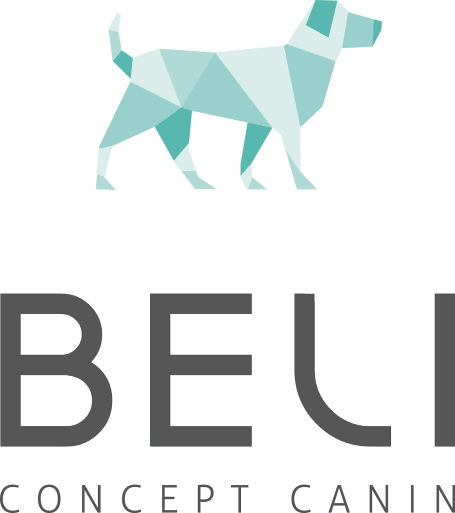 Éducateur canin et comportementaliste dans la ville de Québec